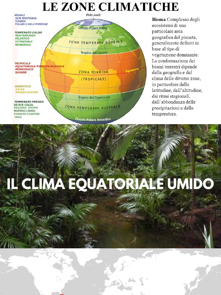 Il Clima Equatoriale Umido | PDF