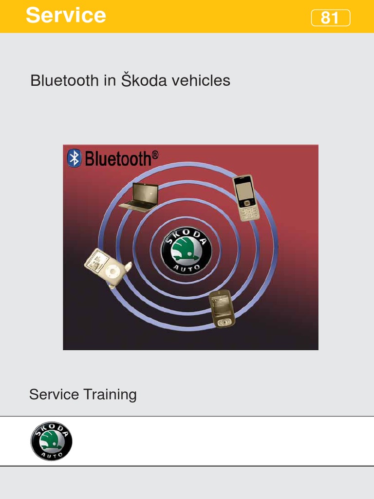 Bluetooth | PDF