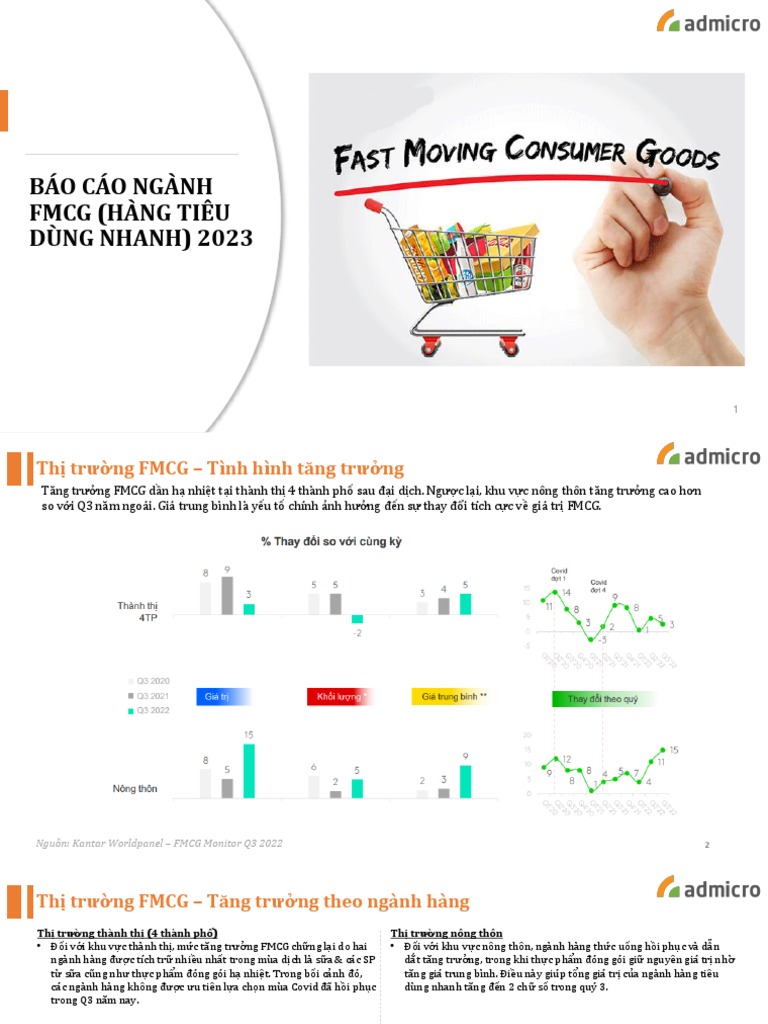 Báo Cáo Ngành FMCG 2023 | PDF