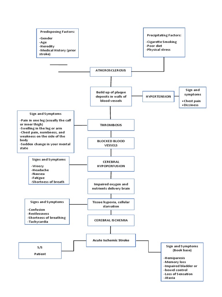 Pathophysiology Ischemic Stroke | PDF