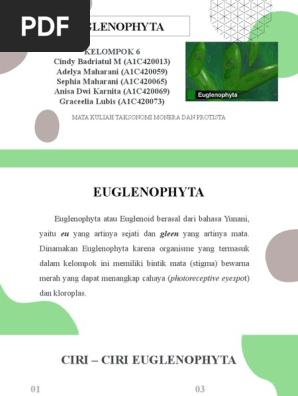 Ciri Ciri Euglenophyta