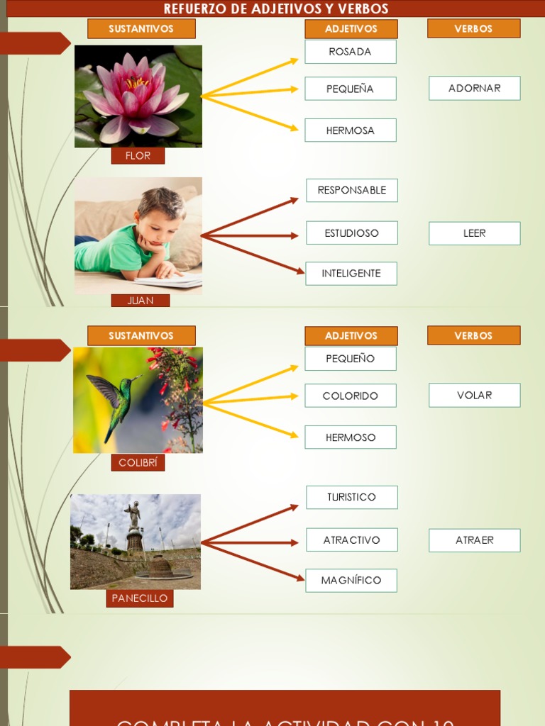 Refuerzo Sustantivos, Adjetivos y Verbos | PDF