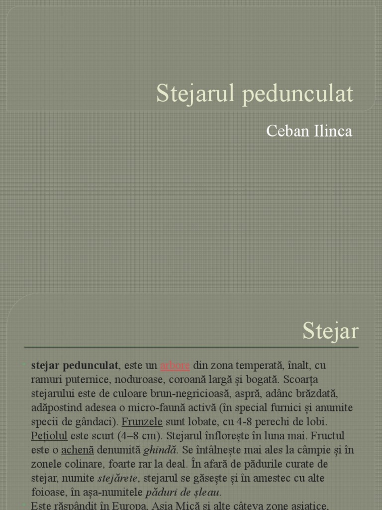 Stejarul Pedunculat | PDF