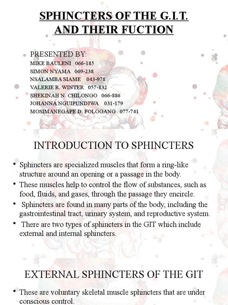 Functions of G.I.T. Sphincters Explained | PDF | Esophagus ...