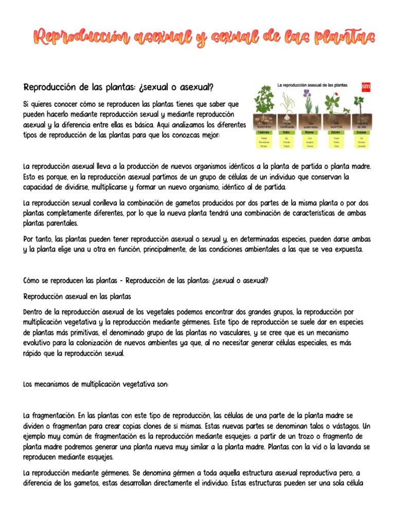 Reproducción de Las Plantas | PDF | Reproducción sexual | Plantas