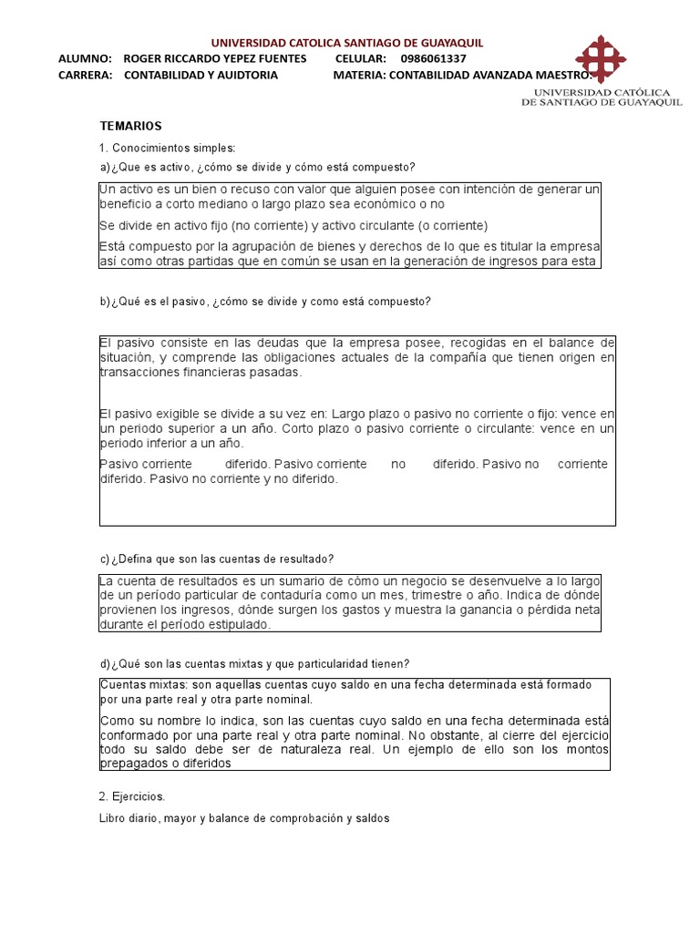 Auditor Independiente | PDF | Contabilidad | Economía Financiera