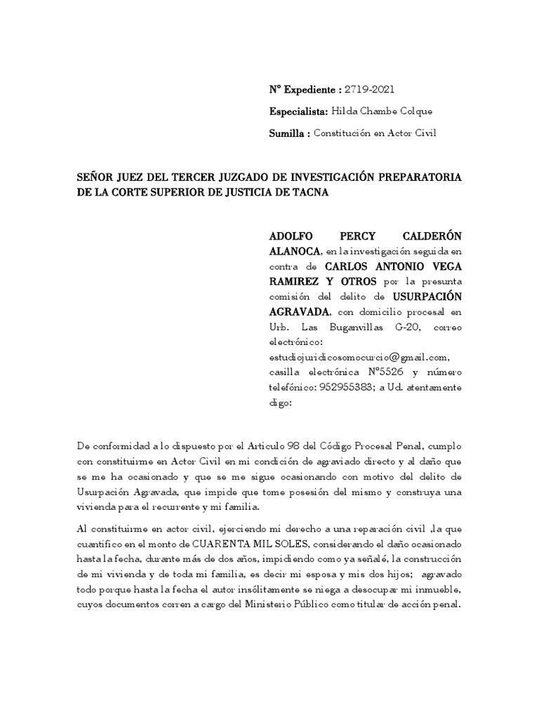 Calderon Actor Civil | PDF | Gobierno | Justicia