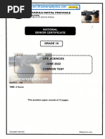 2024 CAT PAT Grade 10 Learner Guide | PDF | Social Media | Popular ...