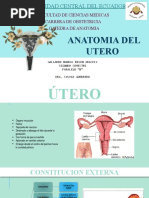 Partes de la Salpinge y Anatomía Asociada | PDF | Ovario | Pelvis