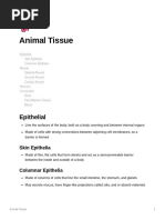 Animal Tissue Flowchart A4 Vertical | PDF