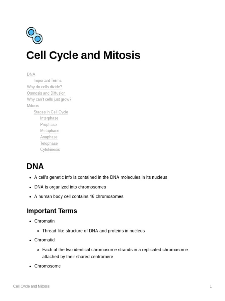 Cell Cycle Mitosis - NOTES | PDF