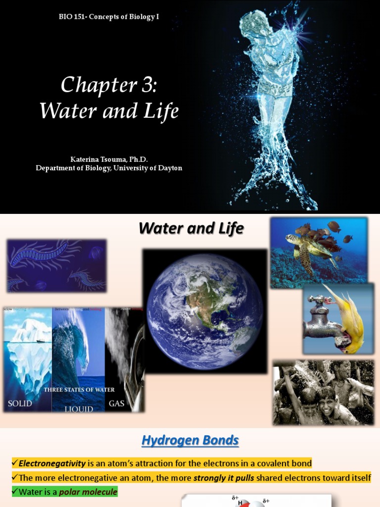 Chapter 3-Water | PDF | Ph | Properties Of Water