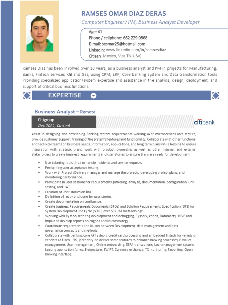 Resume Ramses EnglishBAv13 | PDF | Databases | Electronic Data Interchange