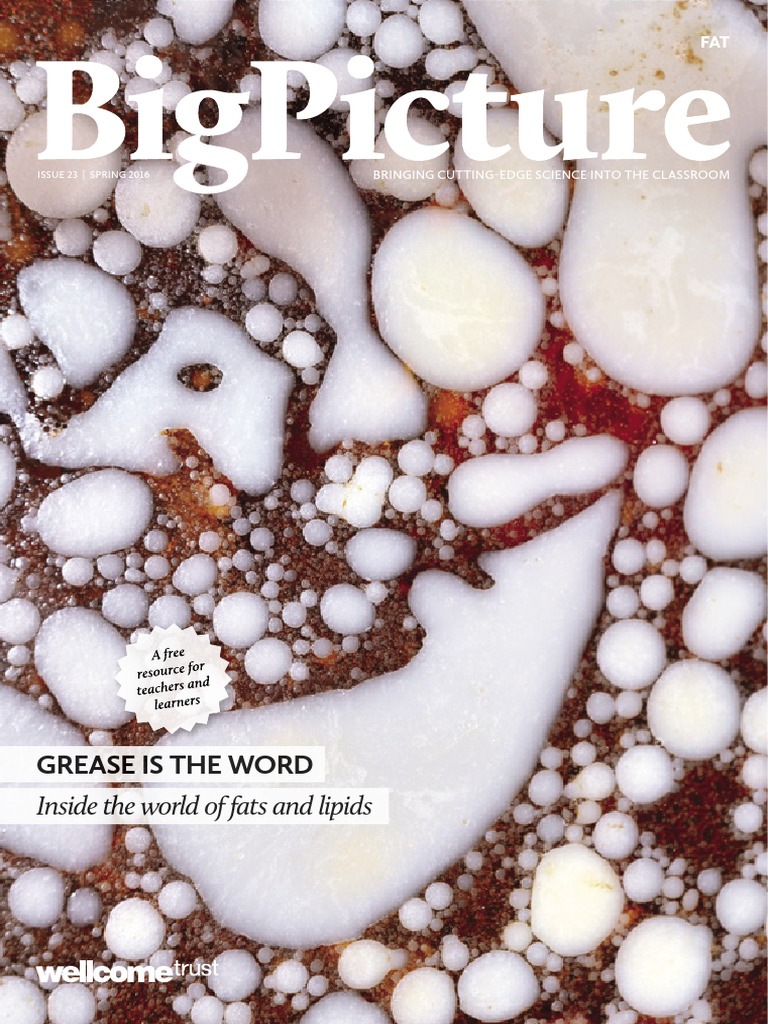 Exploring the Science of Fats | PDF | Fat | Lipid