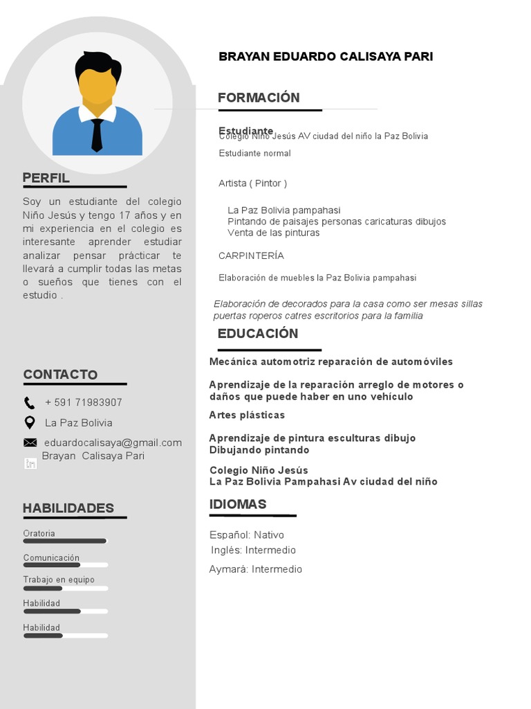 73 Curriculum Vitae en Blanco | PDF