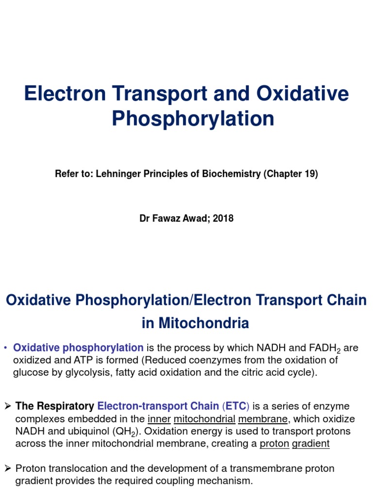 Electron Transport and Oxidative Phosphorylation: Refer To: Lehninger Principles of Biochemistry ...