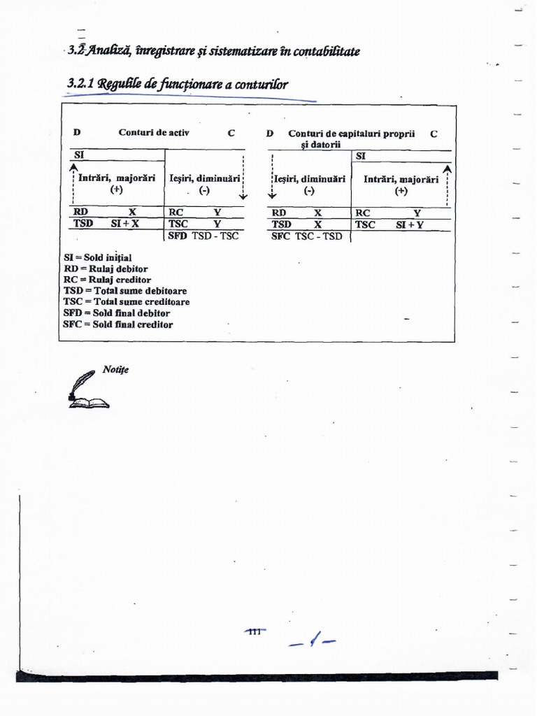 Reguli de Functionare A Conturilor - Prezentare | PDF