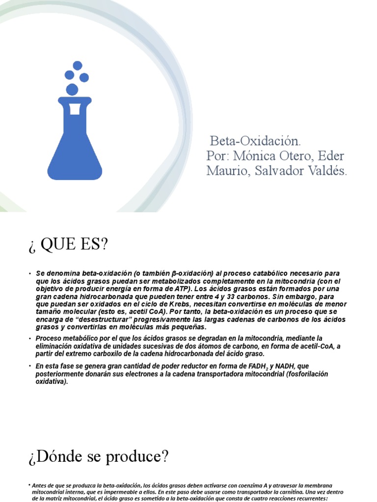 Beta Oxidación | PDF | Procesos celulares | Química Orgánica