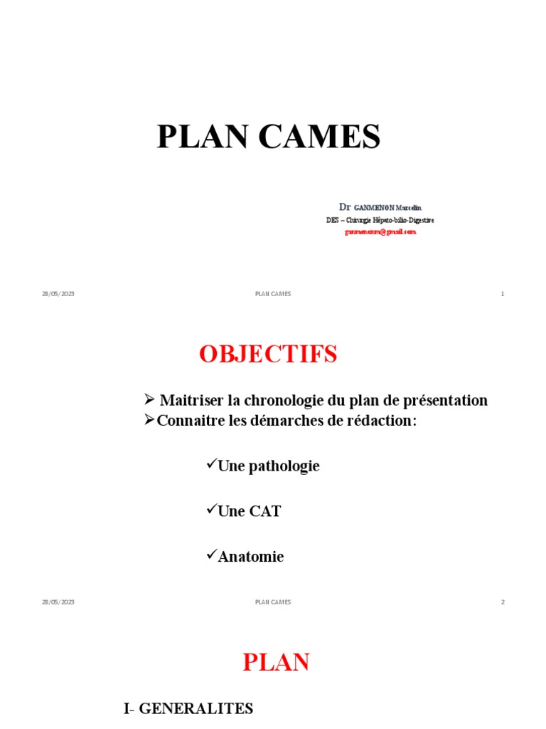Plan de Présentation CAMES 2023 | PDF | Thérapie | Soins de santé