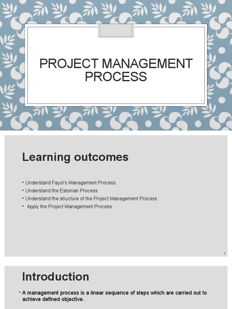 Project Management Process | PDF | Project Management | Business Economics