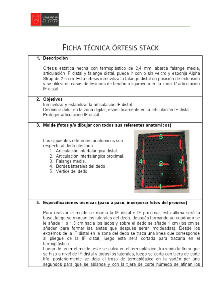 Ficha Tecnica Stack | PDF | Sistema musculoesquelético