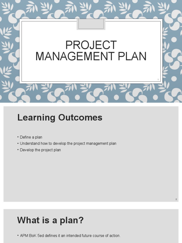 Project Management Plan Overview | PDF | Project Management | Business