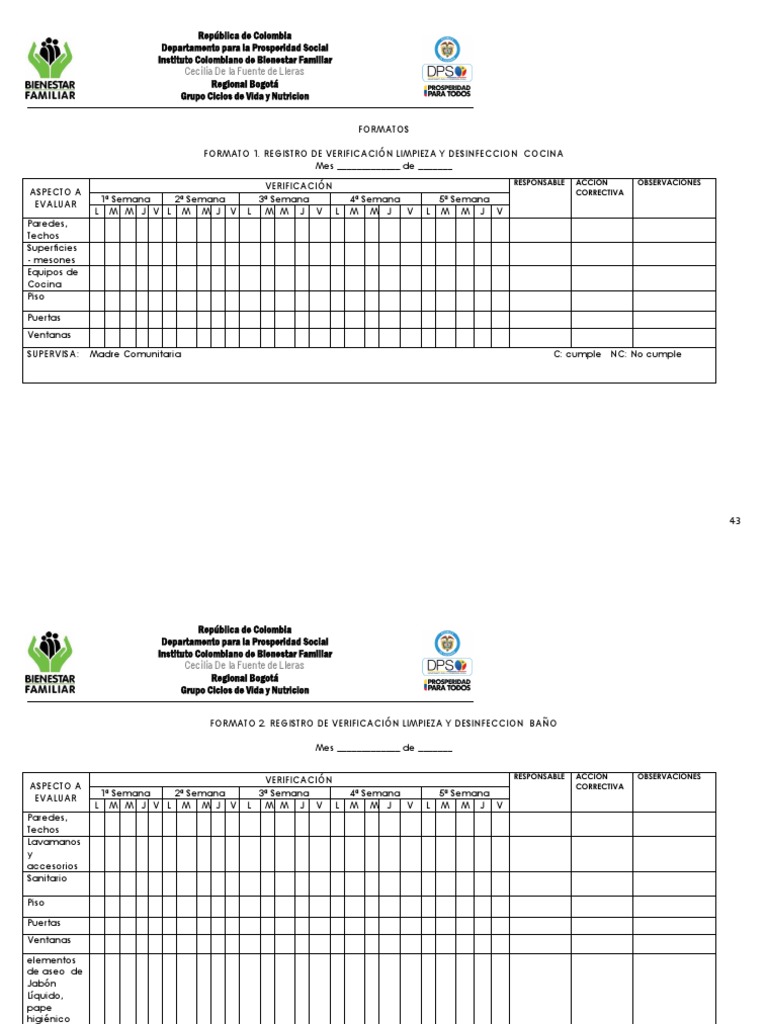 Formatos Plan de Saneamiento | PDF