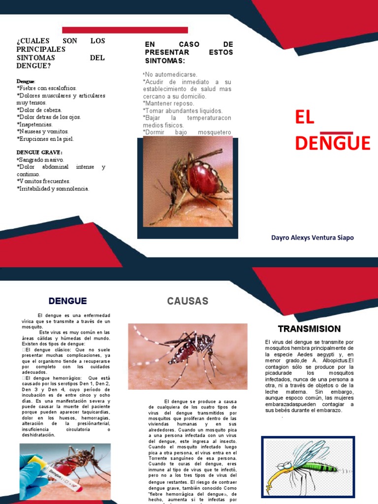 Triptico dengue | PDF | Medicina CLINICA | Enfermedades y trastornos