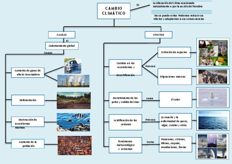 Mapa Conceptual Del Cambio Climatico 4 | PDF