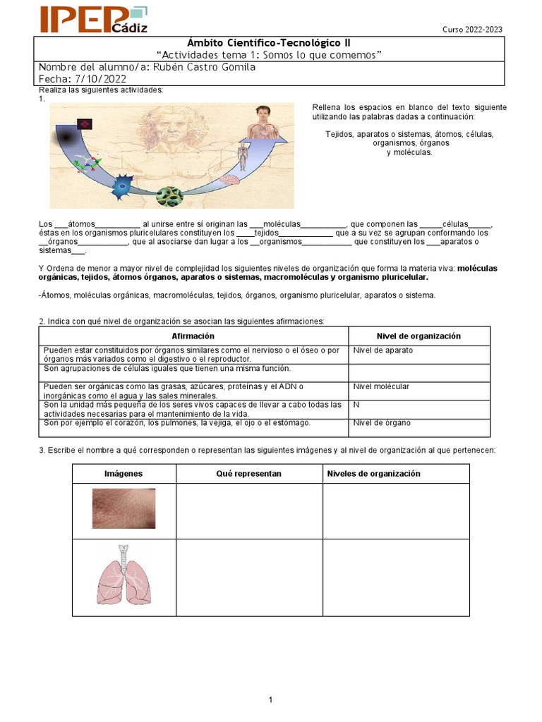 Actividades Clases Bloque 7 Tema 1 2022-23 | PDF | Digestión | Sistema ...