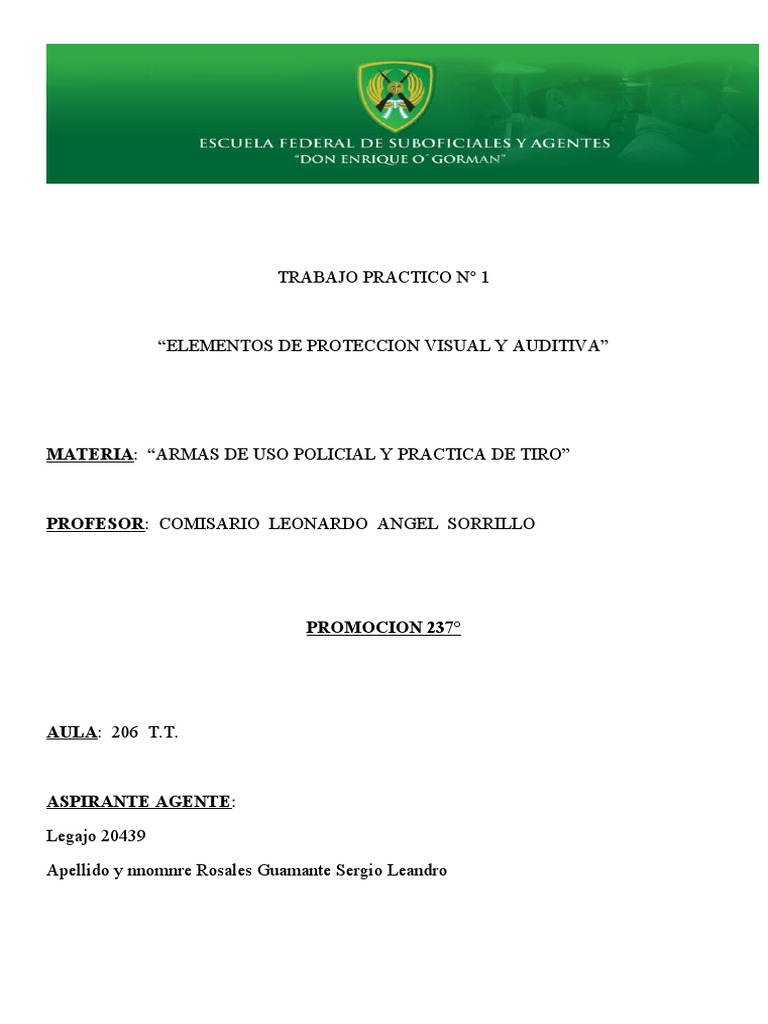 Trabajo Practico N°1 Armas y Tiro | PDF