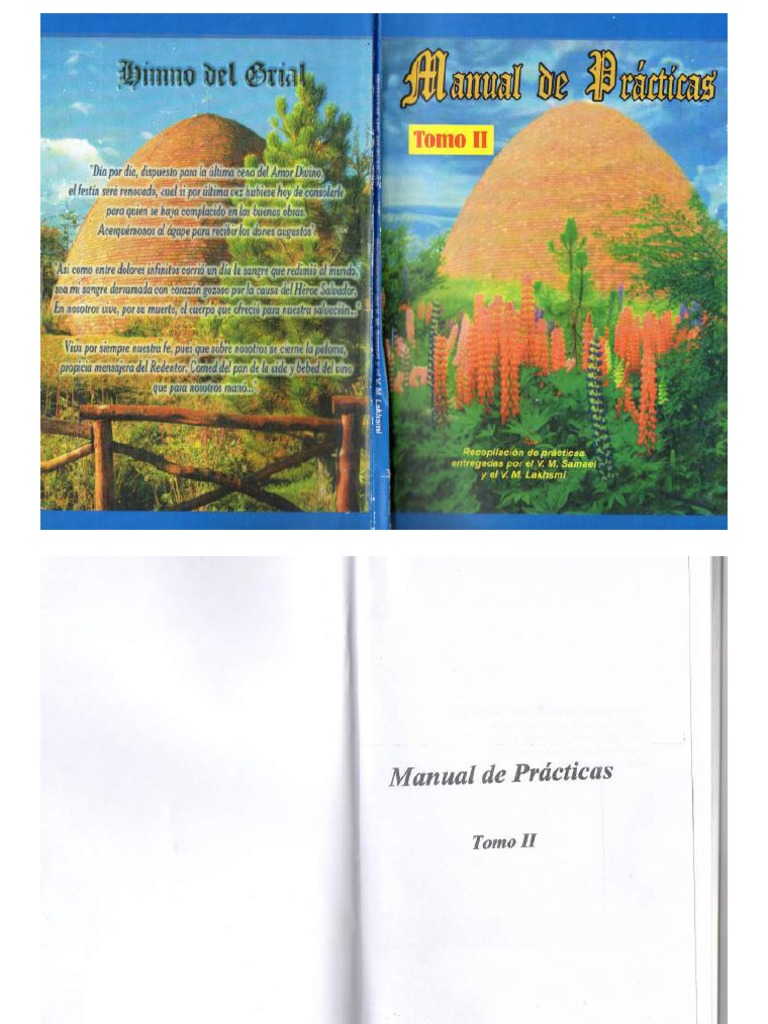 Manual de Practica Tomo 2 | PDF
