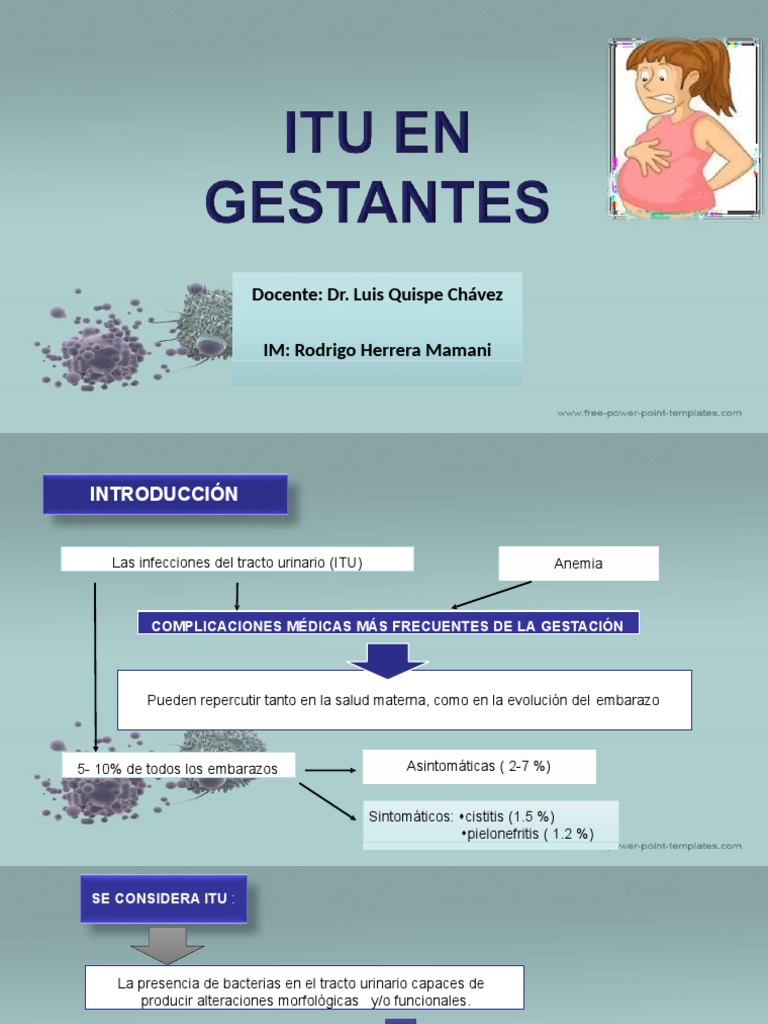 itu-en-el-embarazo-1-170822042611 | PDF | Infección del tracto urinario ...