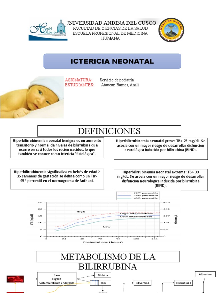 Hiperbilirrubinemia Neonatal | PDF | Especialidades Medicas | Medicina CLINICA