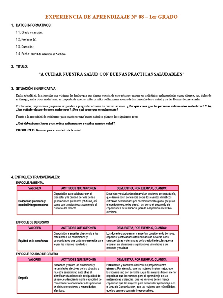1° Grado - Experiencia de Aprendizaje N°08 (Corregido) | Descargar gratis PDF | Aprendizaje ...