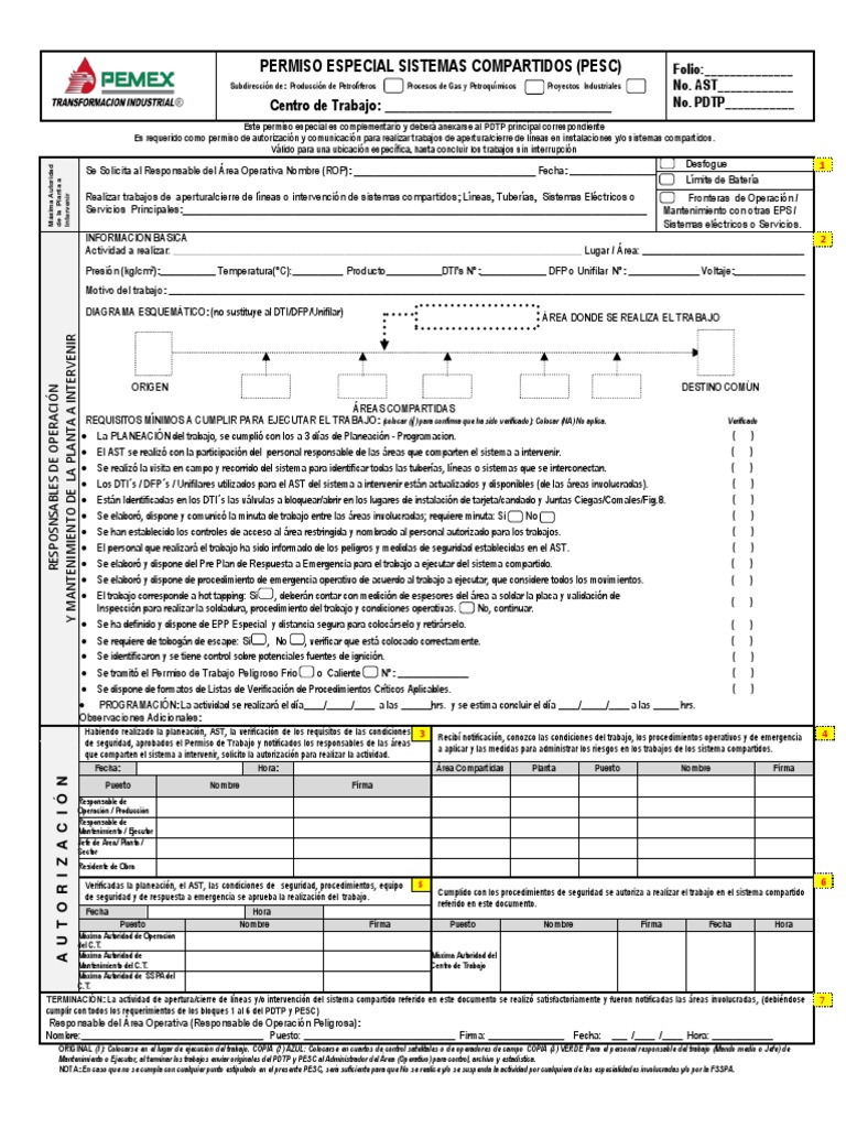 100-Formato PESC | PDF