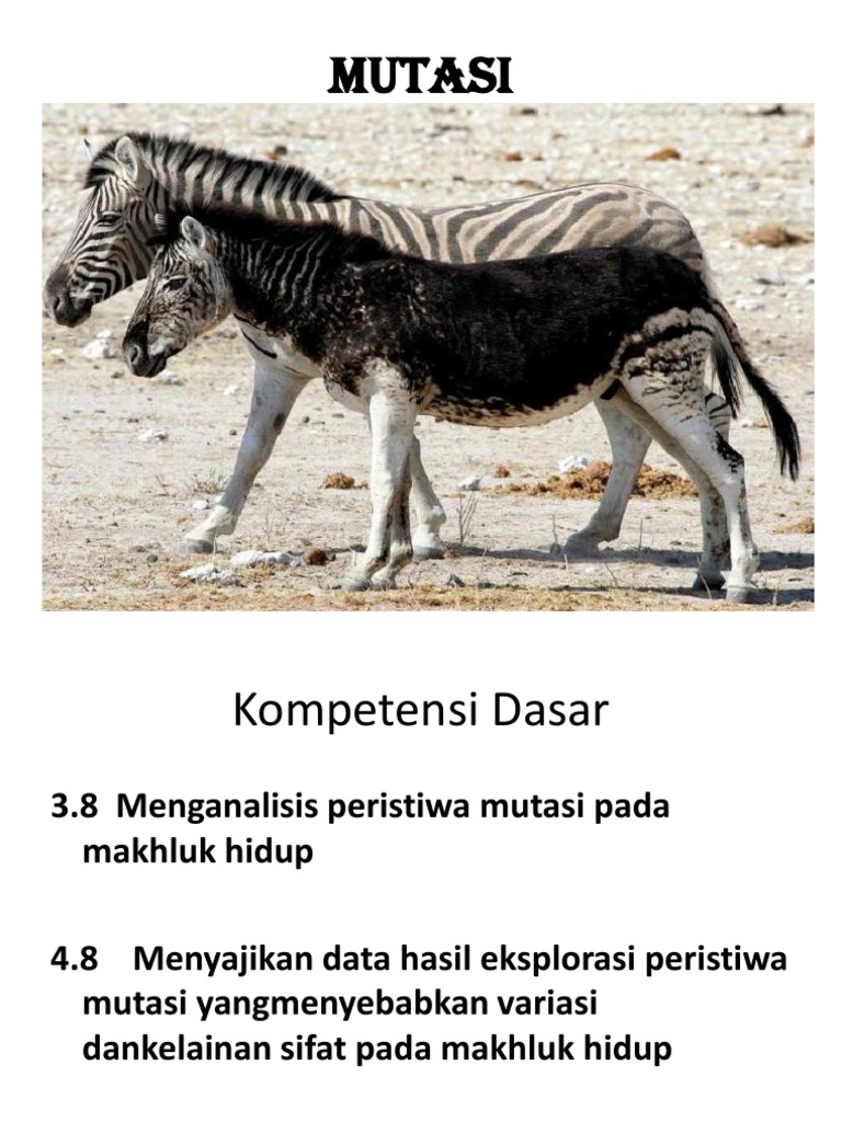 Mutasi Gen Kromosom Andri | PDF