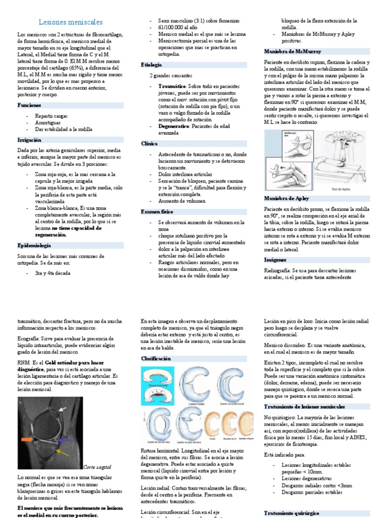 C08 - Lesiones Meniscales | PDF | Rodilla | Especialidades Medicas