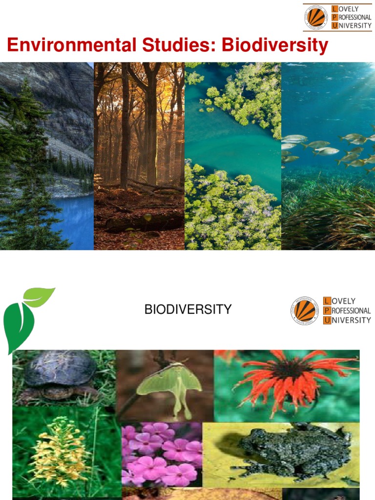 Unit 3 Biodiversity | PDF | Biodiversity | Habitat Destruction