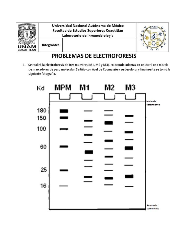 Problemas de Electroforesis | PDF