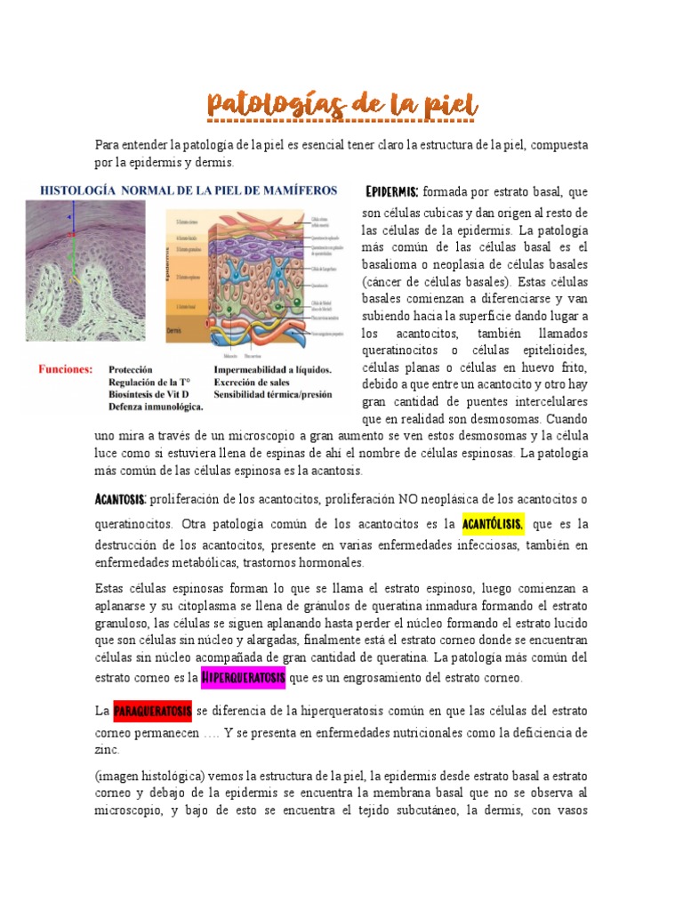 Patologías de La Piel, Parte 1, Clase 23 de Junio | PDF | Epidermis | Piel
