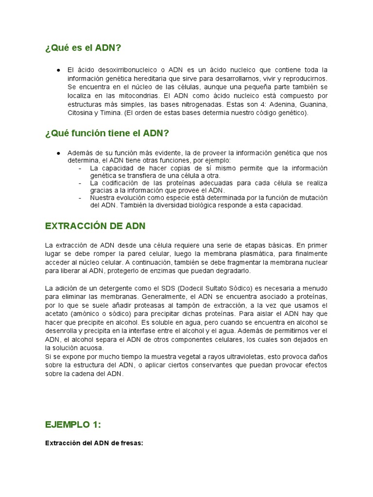 Extracción Del Adn | PDF
