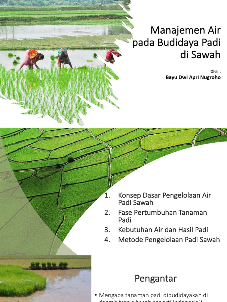 PAUP Materi 8 | PDF