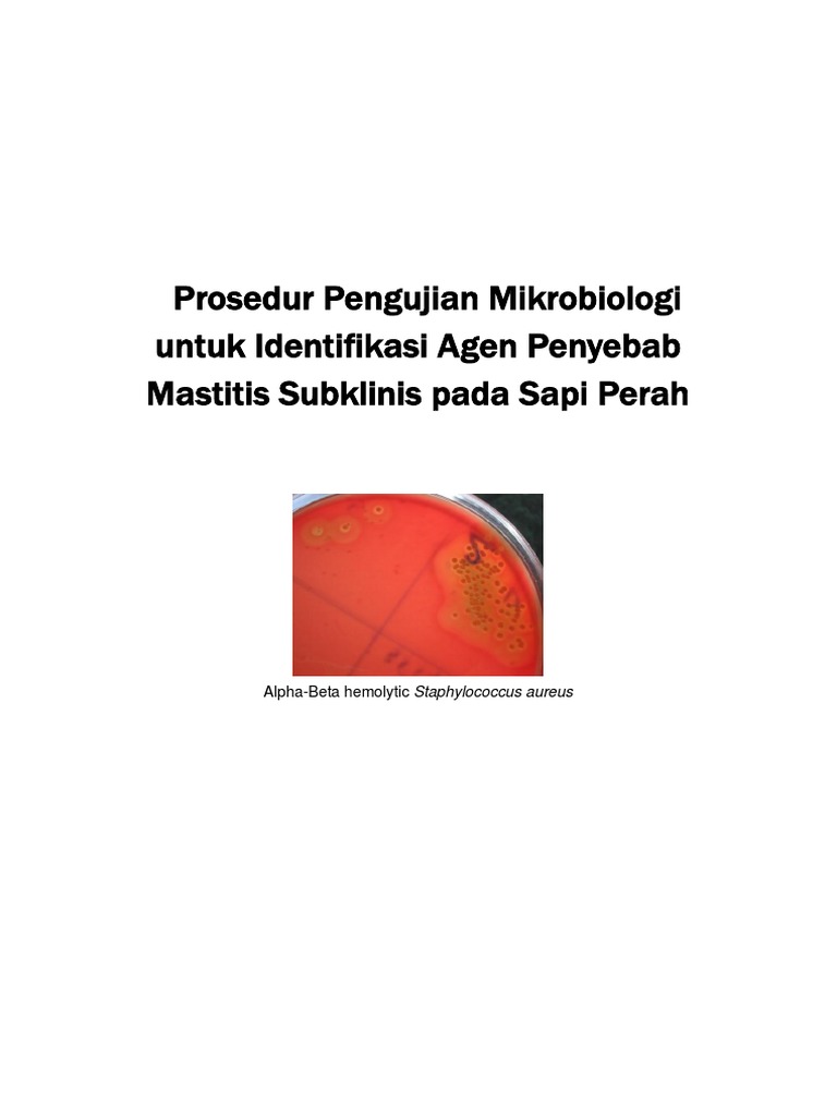 Prosedur Pengujian Mikrobiologi Untuk S. Aureus | PDF