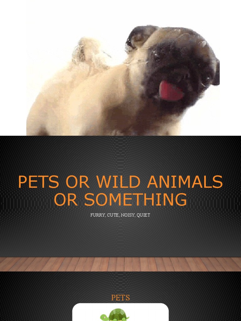 Animals Pet or Wild | PDF