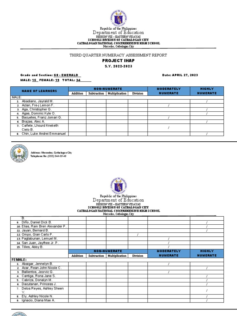 Grade 8 Numeracy Assessment Report | PDF