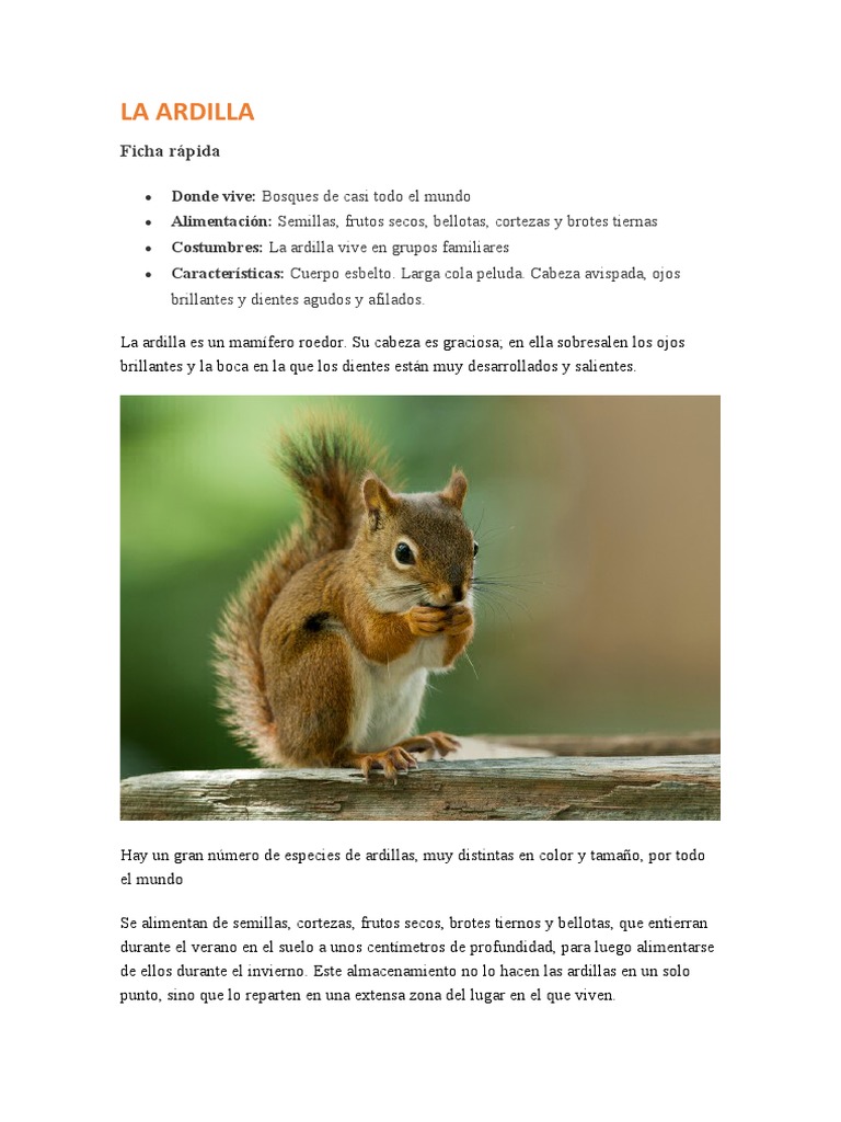 La Ardilla | PDF