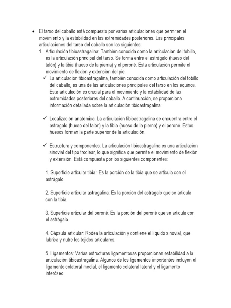 Anatomía y Función del Tarso Equino | PDF | Salud y bienestar | Ciencia ...