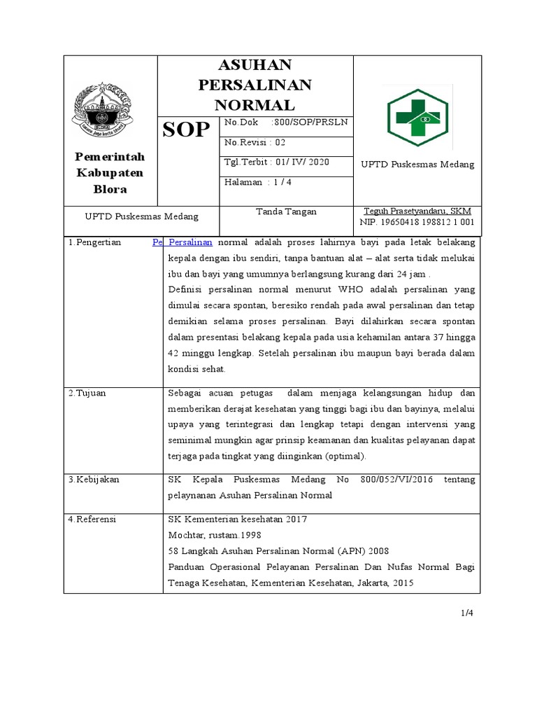 SOP Asuhan Persalinan Normal | PDF