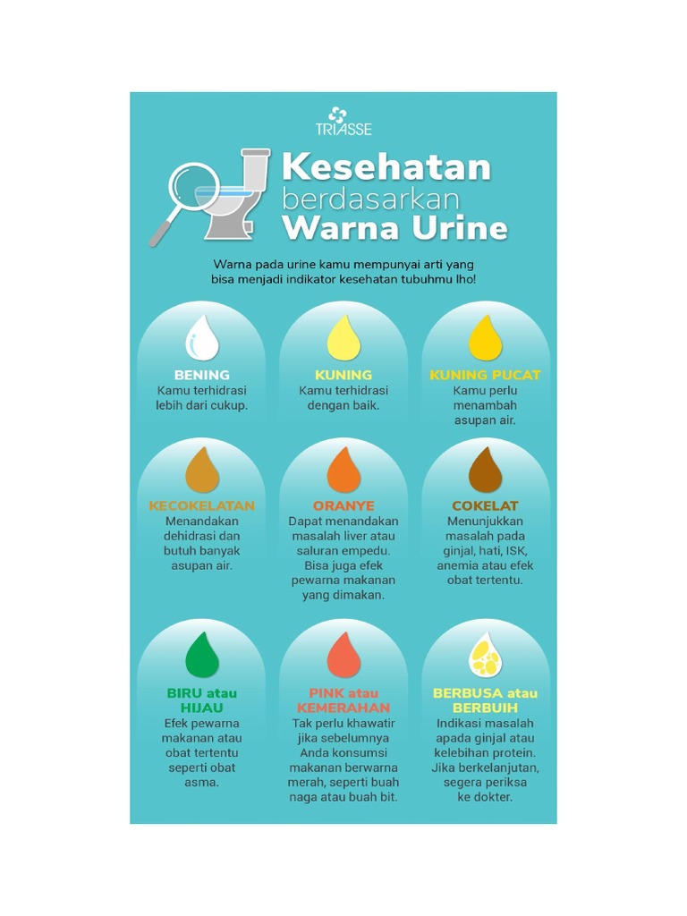 Poster Urine | PDF